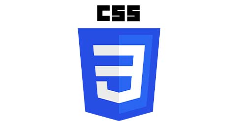 Best Software Company in Nellore